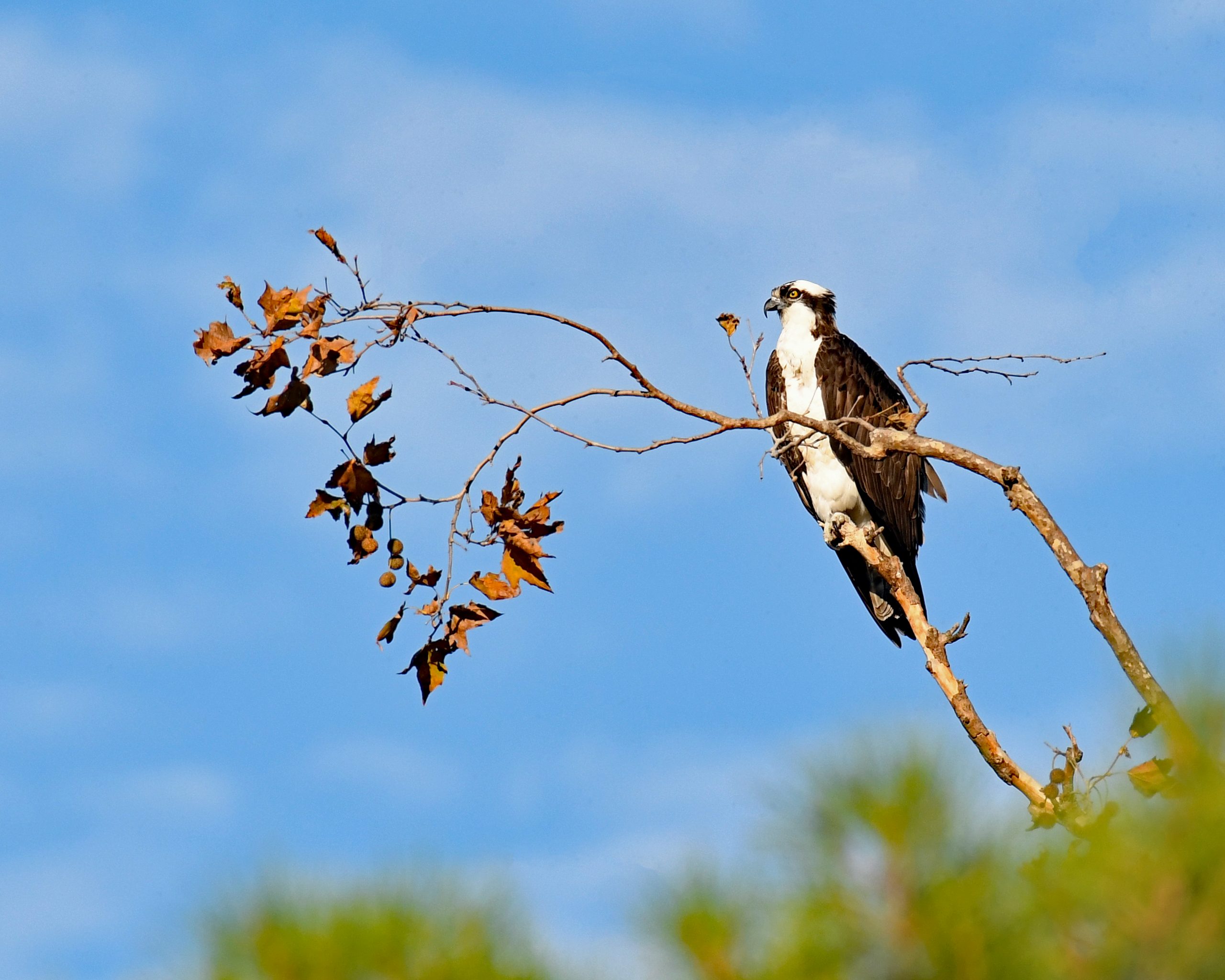 Action Fund Adds Outdoor Entrepreneurs, Enthusiasts to Board | National ...